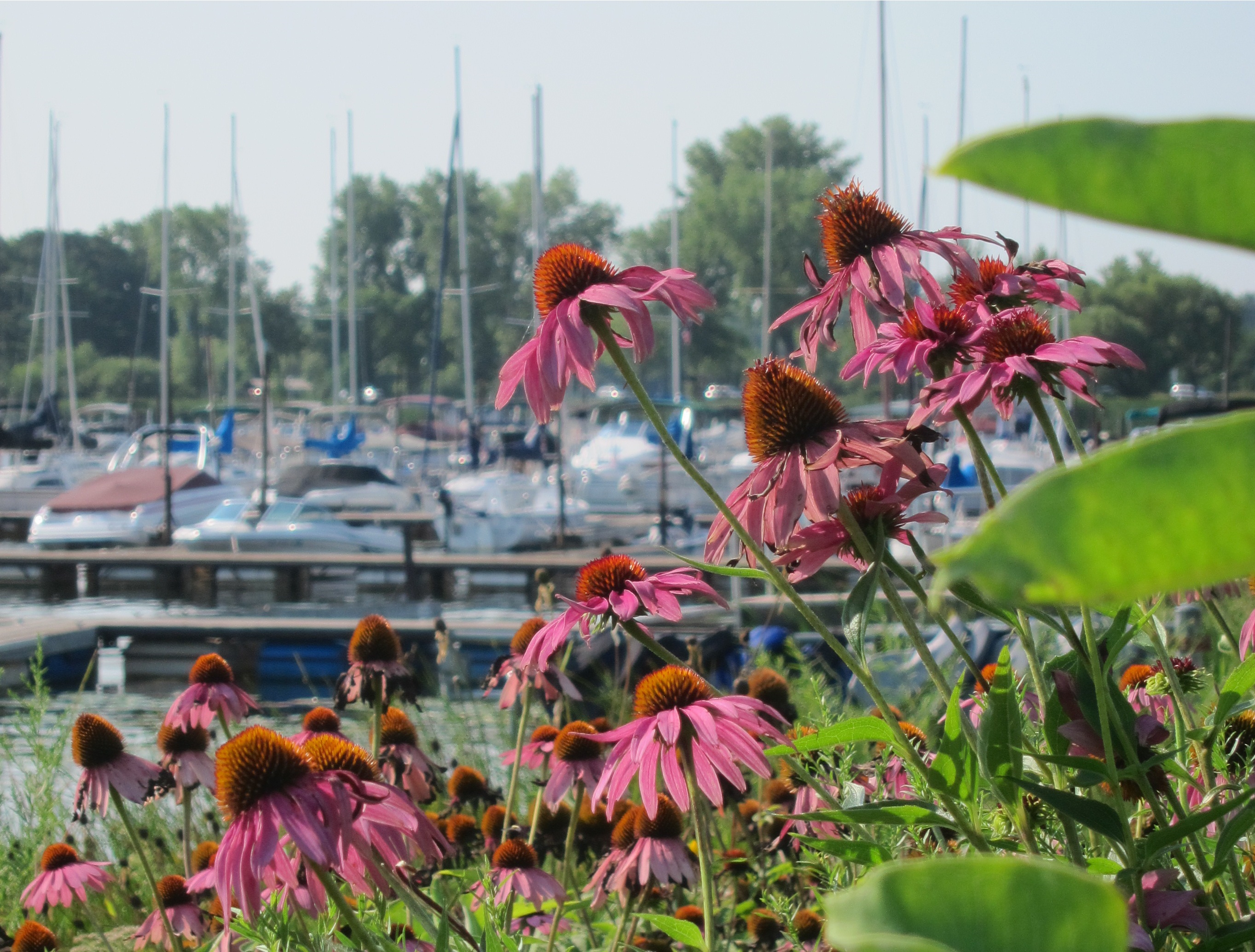 Environment | White Bear Lake MN
