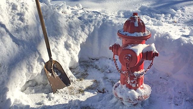 Adopt-a-Fire Hydrant | White Bear Lake MN